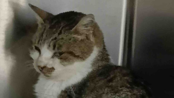 Fundraiser by Valeria Mangano : Alex è grave, sta lottando per vivere