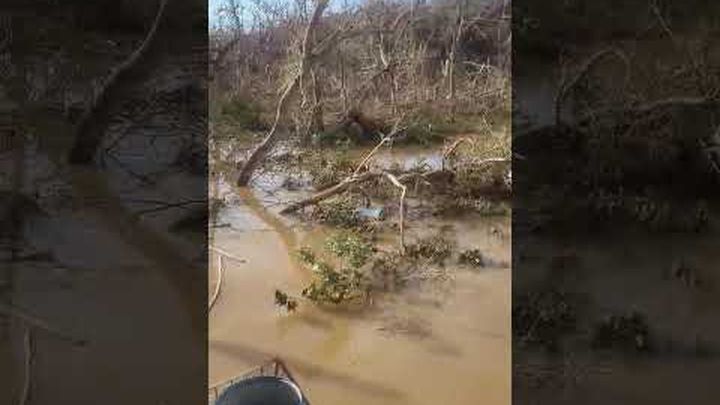 Fundraiser by Jade-Ann Samuels : Help My Family Rebuild in Jamaica ...