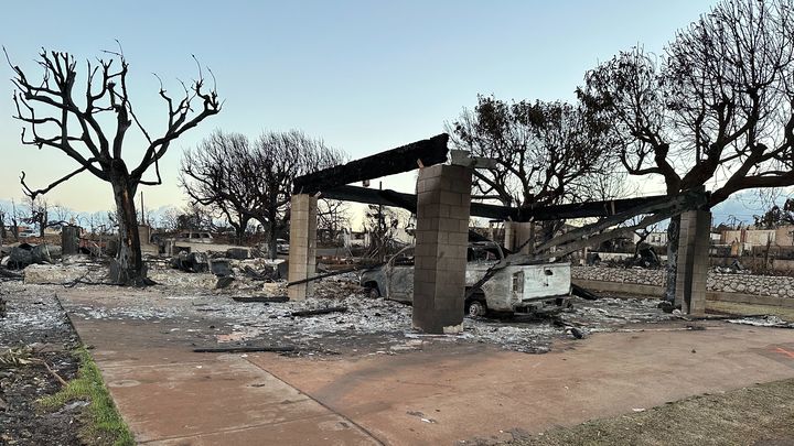 Fundraiser by Leah K : Help Rox and Rodney Recover from the Lahaina Fire