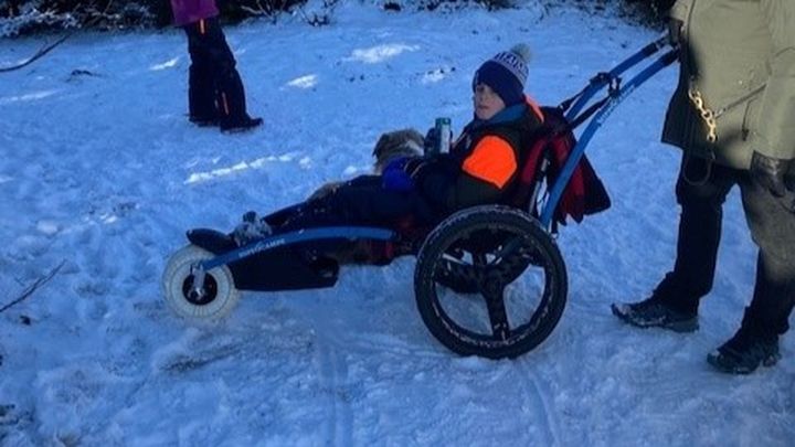 Fundraiser by Carl Penney : Purchase a new Hippocamp Chair