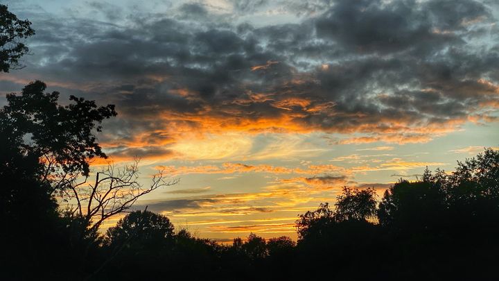 Fundraiser by Robert Cafaro : Robjocart Community Support