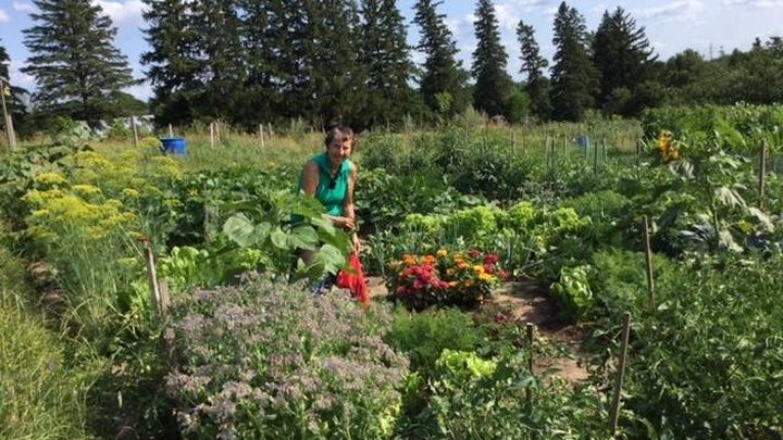 Fundraiser by Cynthia Bragg : Help Cynthia Stay in Her Home