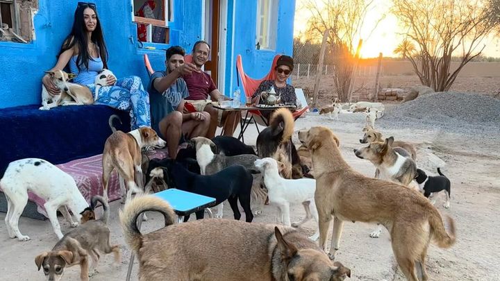 Fundraiser by jade owhadi : Support Moroccan Dog Rescue's Lifesaving Work