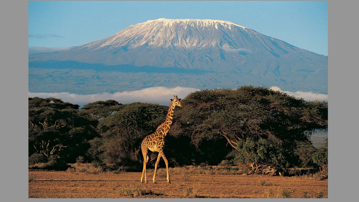 Fundraiser by Etai Page : Kilimanjaro climb for Kidscape