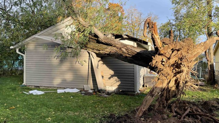 Fundraiser for Iesha Gray by Cynthia Gray : Tree fell onto our house