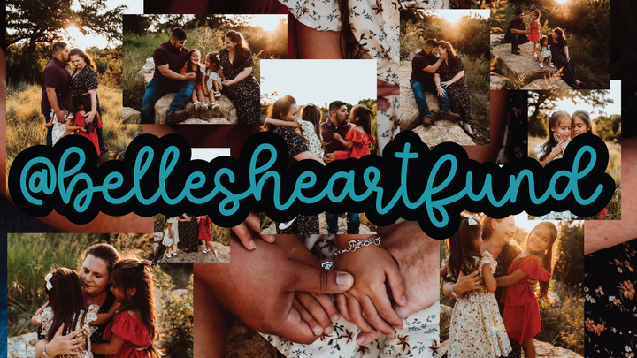 Fundraiser by RyeLee Lang : Belle's Heart Fund