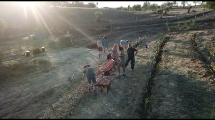 Fundraiser by Dylan Chester : Birthday forest fund