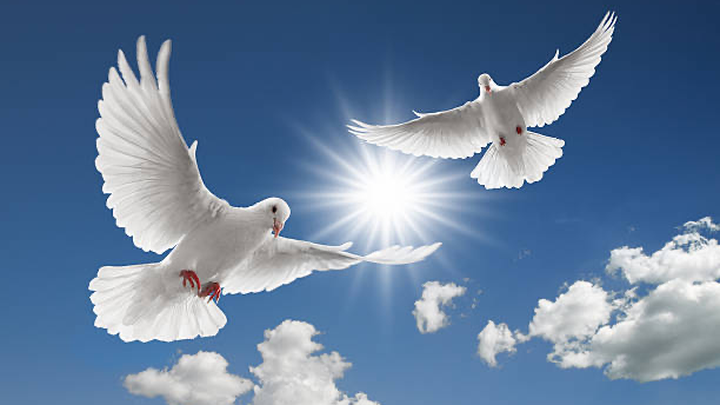 Fundraiser for Jenisha Henneghan by Latonya Montford : Support for ...