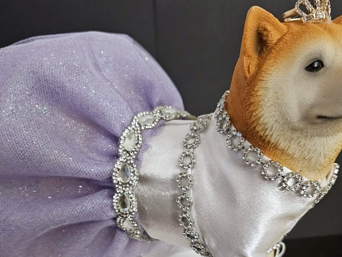 Fundraiser by Mike Lynch : Prima Ballerina - Artist Sherry Lockrem for MARS