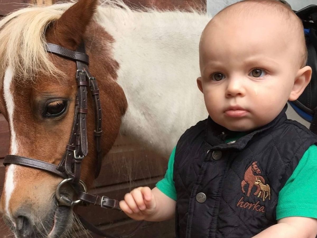 Toni Simpson's Instagram, Twitter & Facebook on IDCrawl