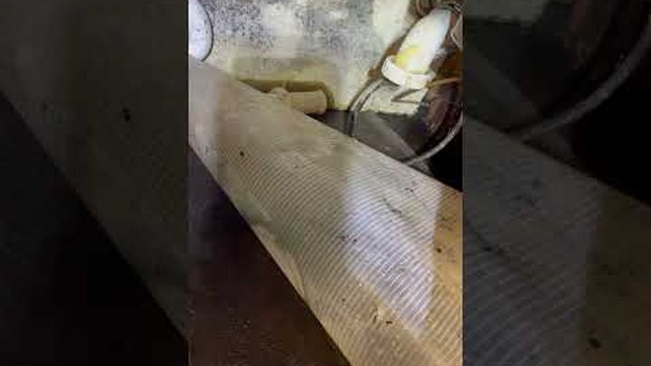 Fundraiser by Mary Fambrough : I need to find another home to Rent