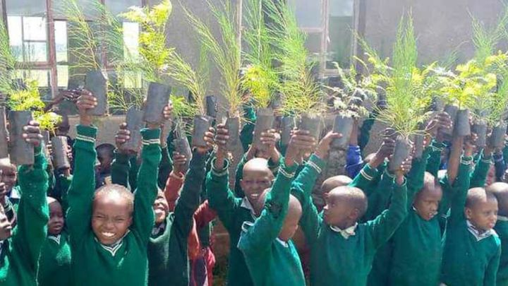 Fundraiser by Jonathan Phillip Bird : One Student one tree