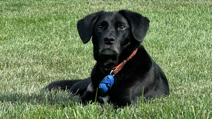 Fundraiser by Victoria Mellen : Bennie's Medical Bills for Cancer