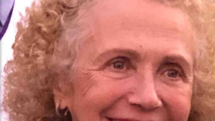 Fundraiser by Brigette Rosenberg : Irene Rosenberg