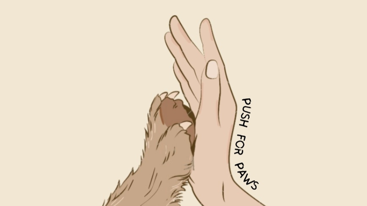 Fundraiser by push for paws : Donate to Push for Paws' Mission