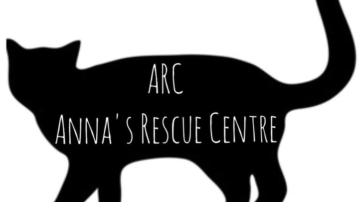 Fundraiser by 61st Cardiff Cubs : Blue Six are raising money for Anna's ...