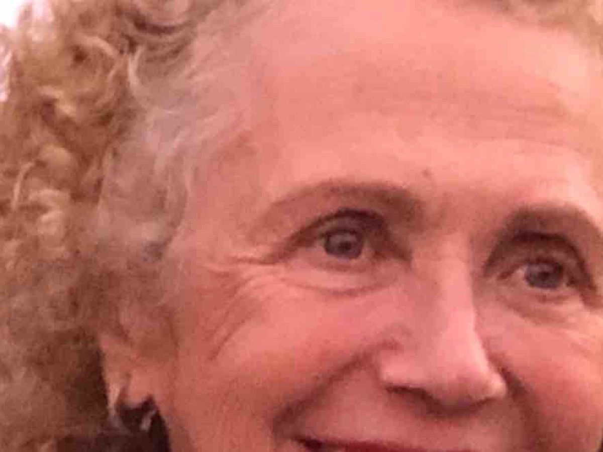 Fundraiser by Brigette Rosenberg : Irene Rosenberg