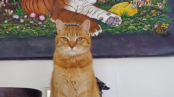 Fundraiser for Linda River Valente by casey Ellison : Help Linda River ...