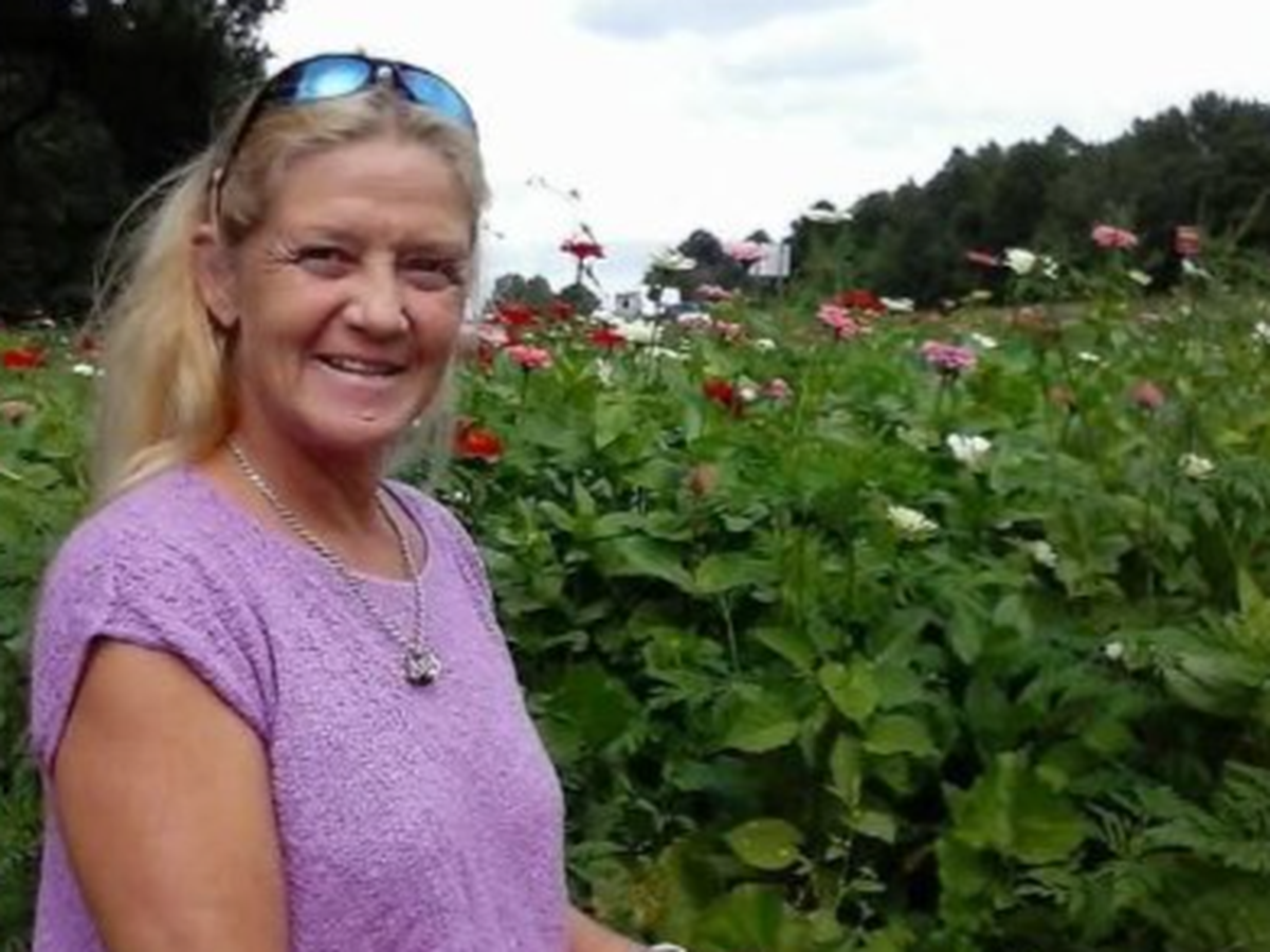 Fundraiser by Holly Mashek : Supporting Annetta's Family: Cremation ...