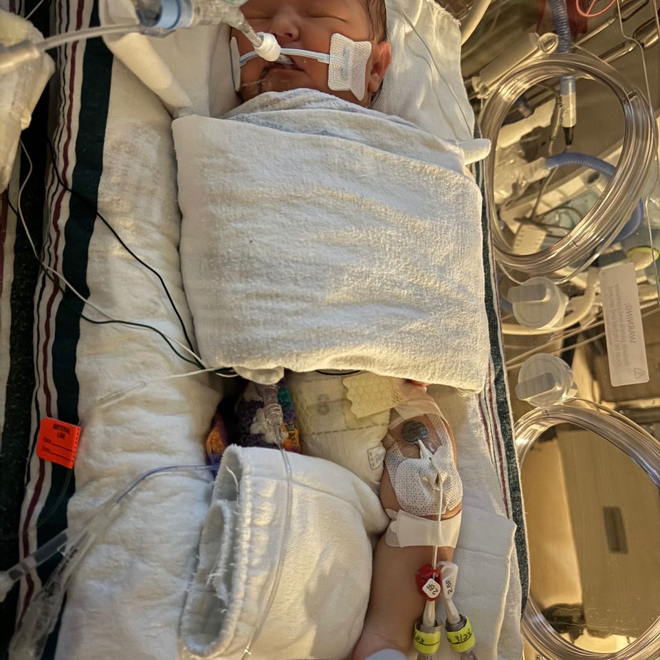 Fundraiser for Michelle Whipple by Mercedas Brown : Prayers for Baby ...