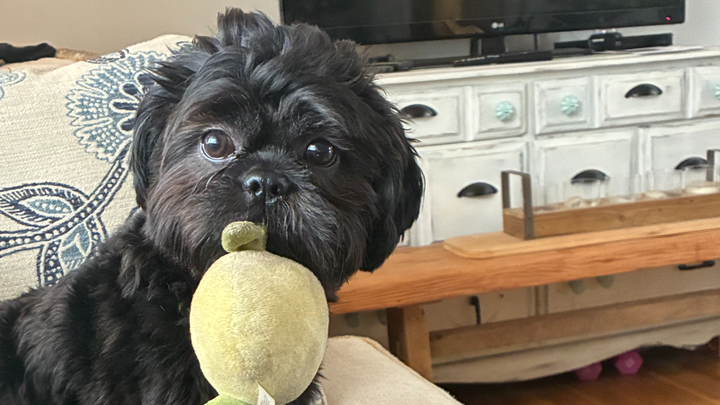 Fundraiser for Katie Younts by Kimber Rahm : Get Walter Back to Playing ...