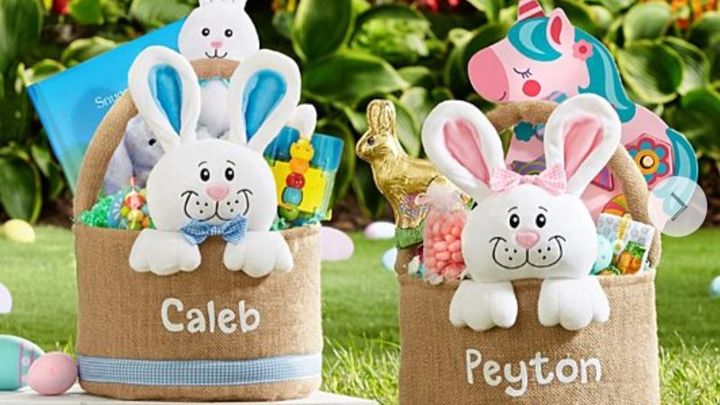 Fundraiser by Ashley Boneau : Some Bunny Loves Foster Children.