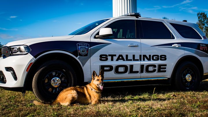 Fundraiser by Joshua Smith : K9 Lily needs your help!