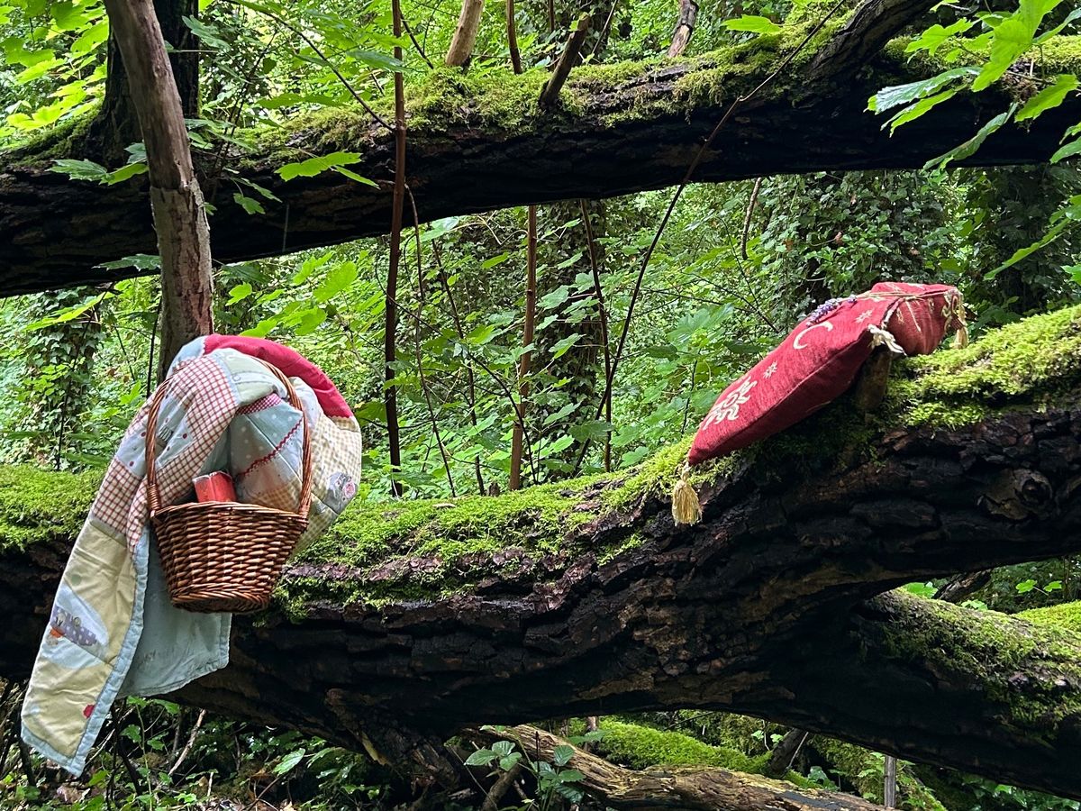 Fundraiser by Demi Preece : Help buy a forest to build nature ...