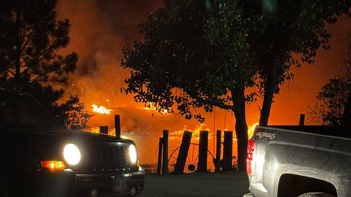 Fundraiser for Malissea Rodriquez by Shola Oyefeso : Help Malissea ...