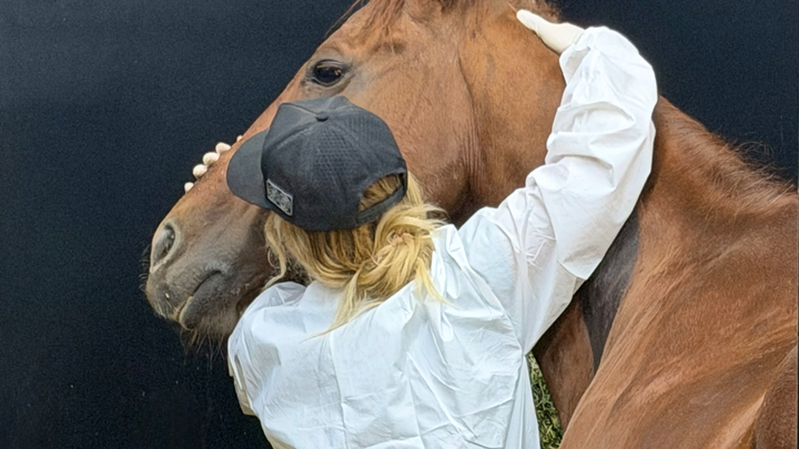 Fundraiser by Blair Stasinski : Help Horses Battling EHV-1: Donate Now