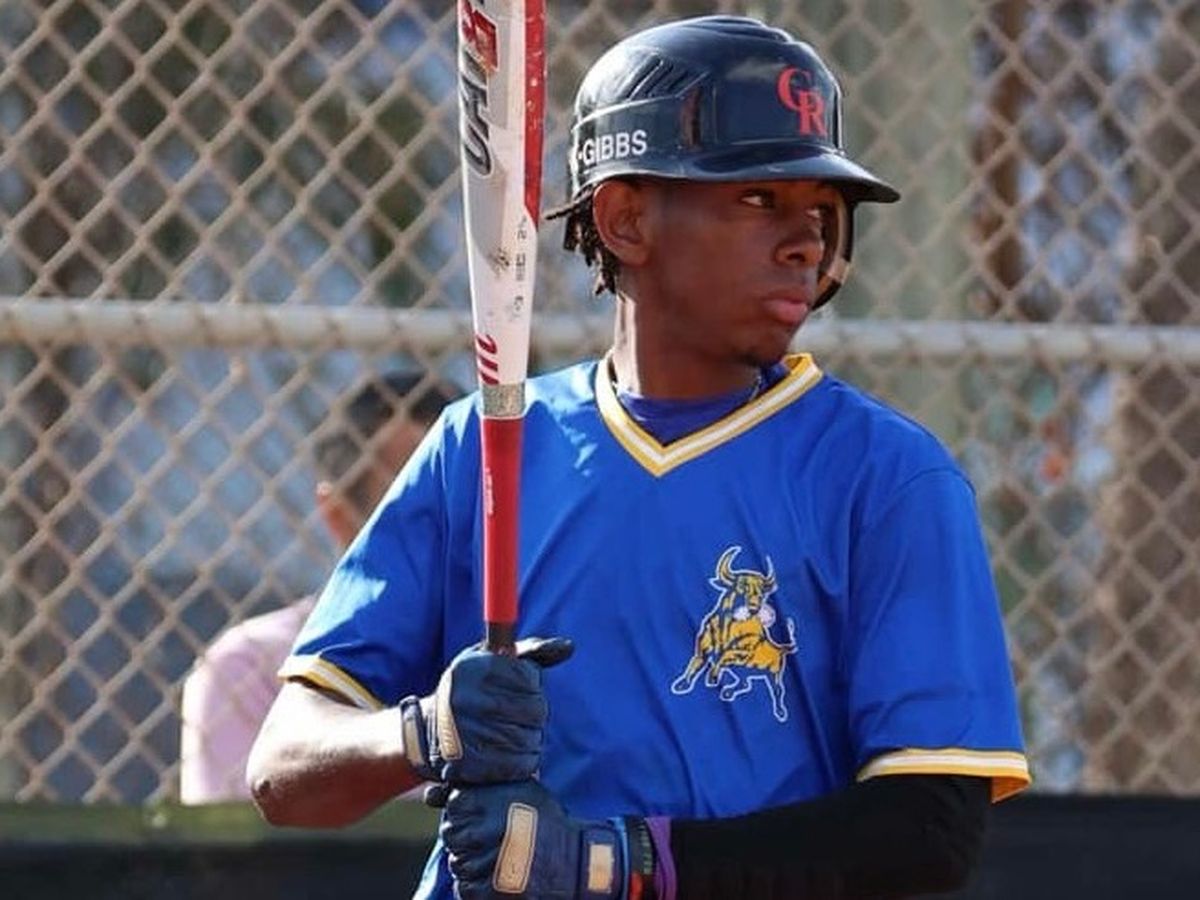 Fundraiser for Casia Gibbs by Elisa Levy-Narcisso : Bring Kershon Home ...