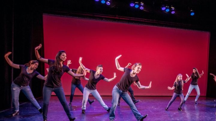 Fundraiser by Karyn Laver : Keep Dance Alive at The Dance Network!