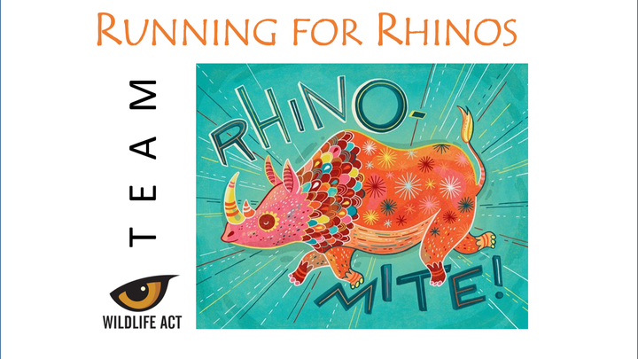 Fundraiser by Jackie Scott : Team "Rhino-mite" is Running for Rhinos!