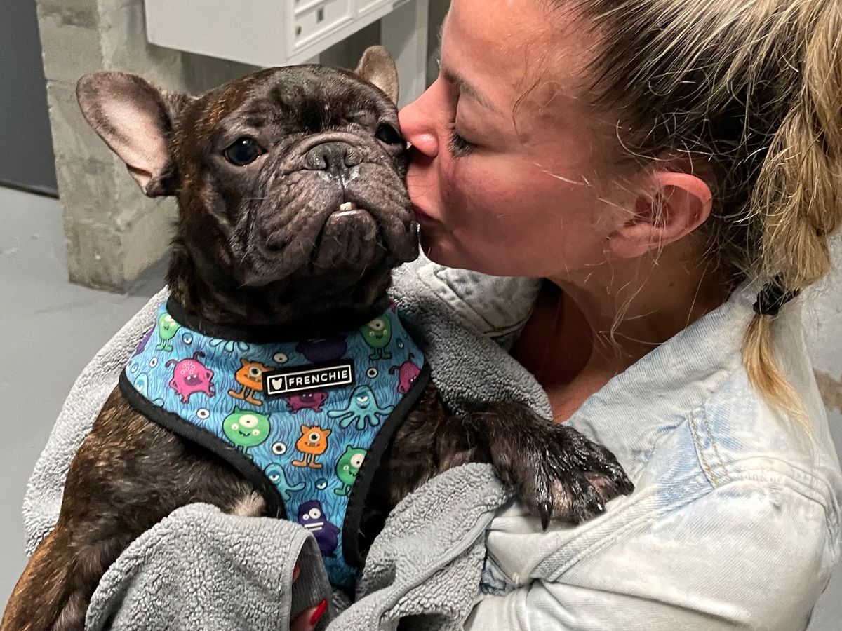 Fundraiser by Eddy Pink : Saving Toby Fund