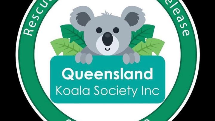 Fundraiser by Chelsie Pim : Sponsored 2km swim for Queensland koala society