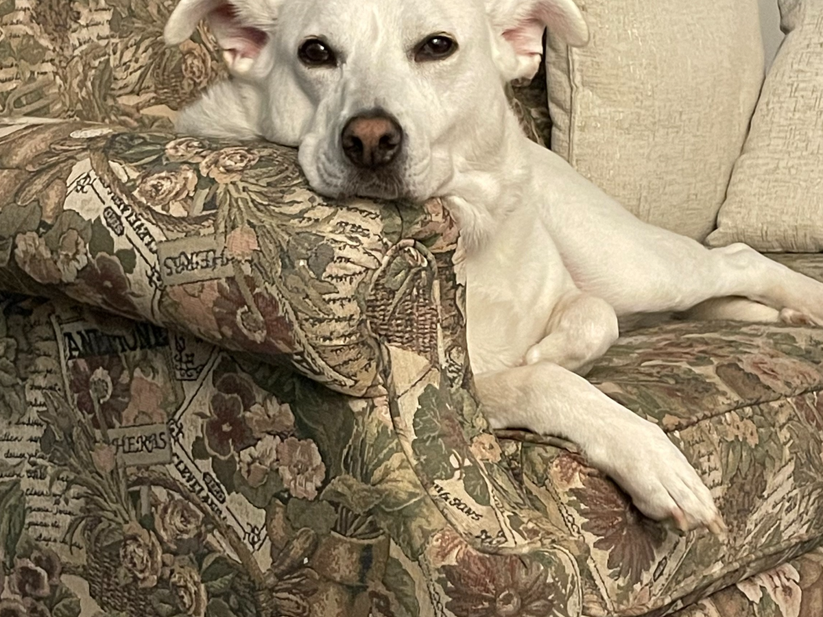 Fundraiser by Kim Adler : Help Kim Find Stability