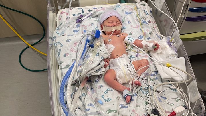 Fundraiser for Ashley Engelke by Jake Miller : Help Baby Van Gonzalez ...