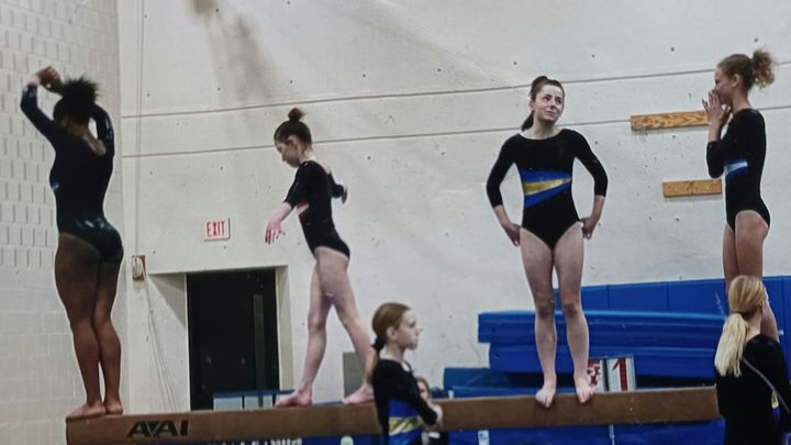 Fundraiser by Kristel Porter : North Gymnastics Needs Competition Leotards!