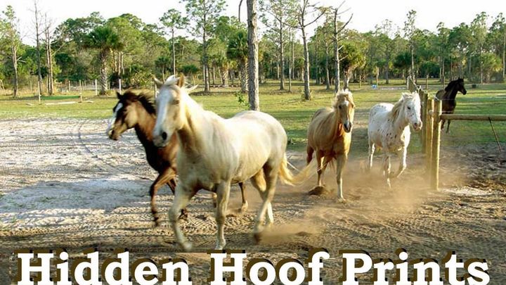 Fundraiser for Pat Lent by Anne Campione : Donate to help