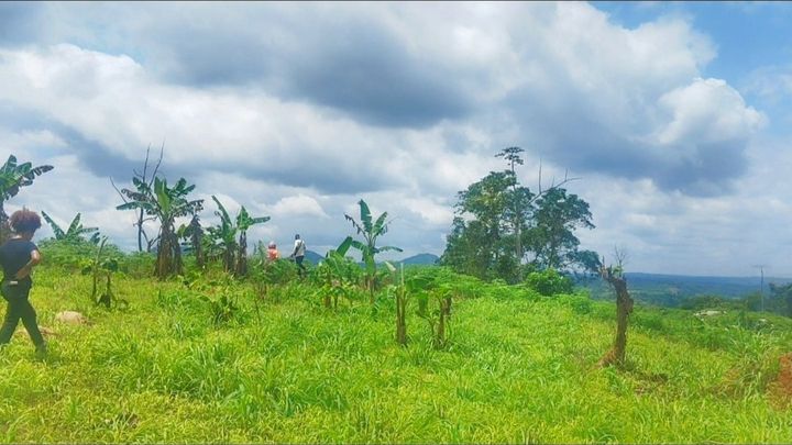 Fundraiser by Ruby Village : Develop Ruby Village