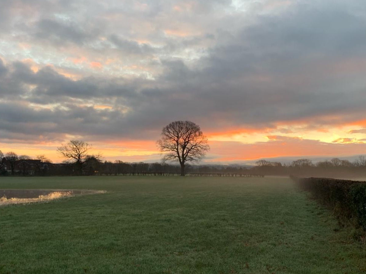 Fundraiser by Angela Burgess : Save Hall Moss Fields