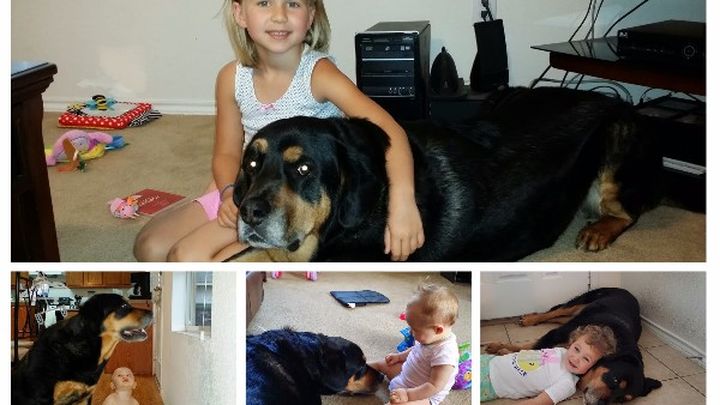 Fundraiser by Angela Lytle : Rosco's Medical Fund