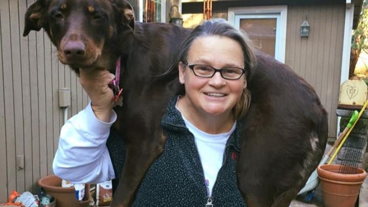 Fundraiser for Kim Jenkin by Kai Lotus : Love for Kim