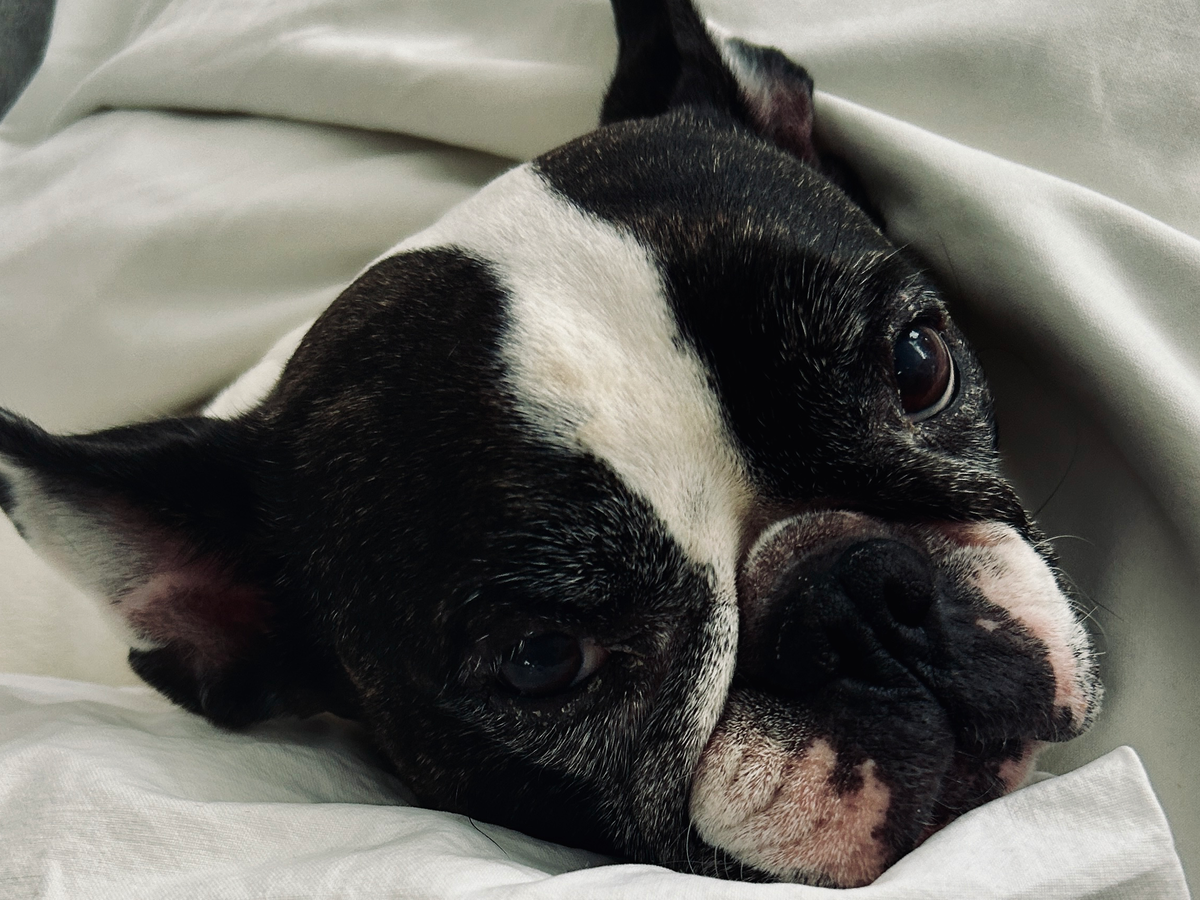 Fundraiser by Sven Homann : Für Rita's Operation