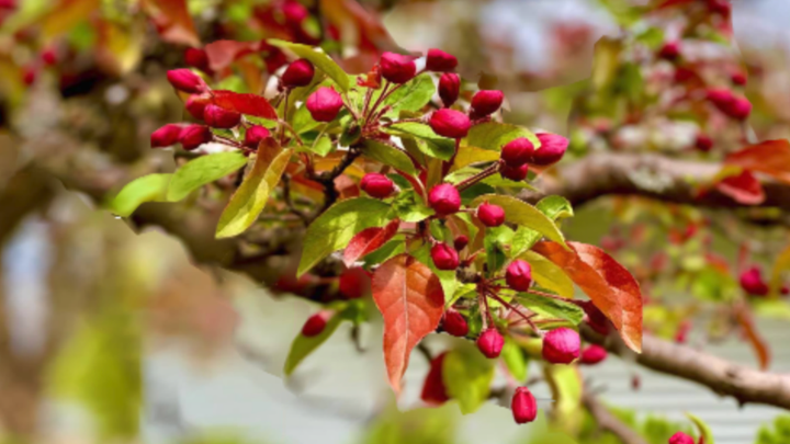 Fundraiser by Maryum Shoukat : Neurology Resident