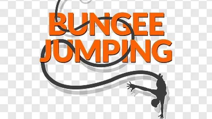 Fundraiser by LYNN NICOLL : Bungee Jump