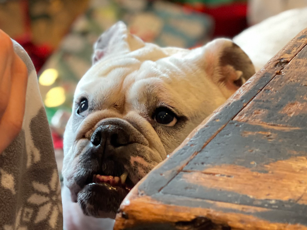 Fundraiser for Sharon Wilson by Sam Metzger : Eagle Scout Sensory ...