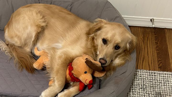 Fundraiser for Stacey Rasmussen by Mikell Rasmussen : Winnie with her ...