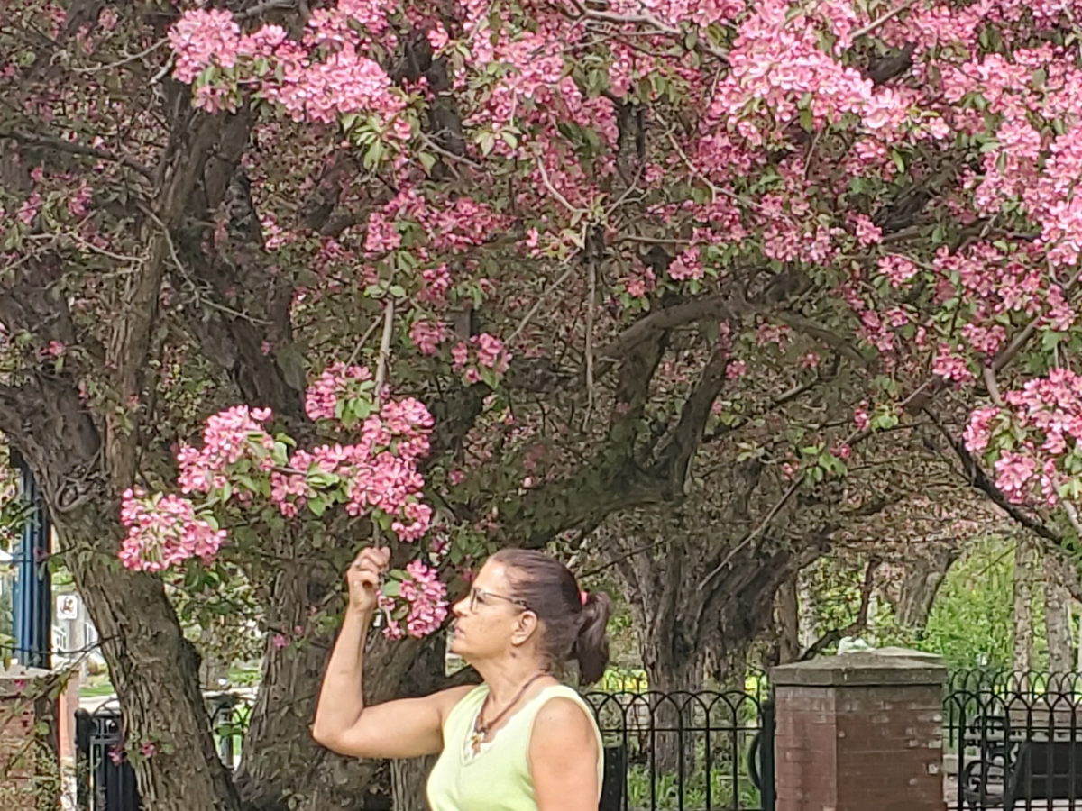 Fundraiser by Jenna Pullen : Dedicate a Bench to Carol Joy Pullen