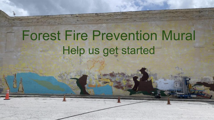 Fundraiser by Alex Oakes : Donate to Preserve Florida Forests with Art